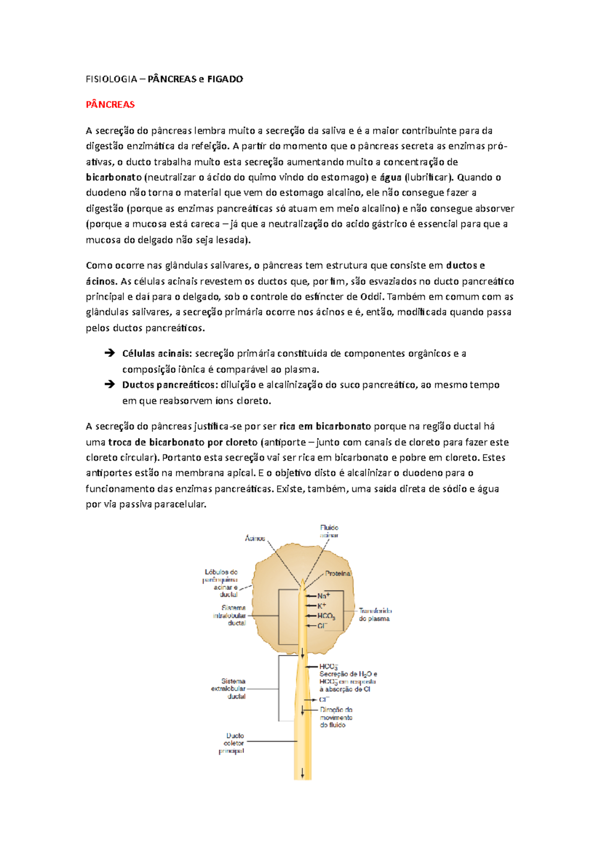 Fisiologia Pancreas e Figado Lepca - FISIOLOGIA – PÂNCREAS e FIGADO ...