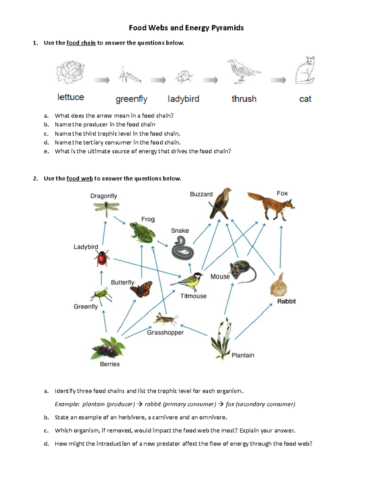 Food Webs - This document is about food webs. Another teacher gave it ...