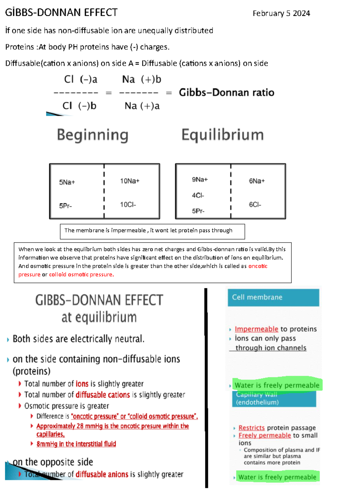 Physiology 4 - Summary Biology - GİBBS-DONNAN EFFECT February 5 2024 İf ...