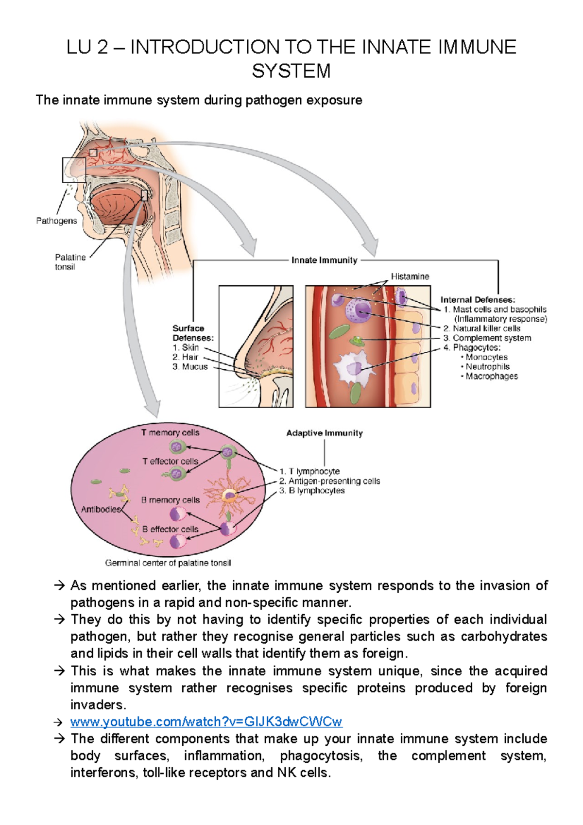 LU2 - Nonspecific immunity - LU 2 – INTRODUCTION TO THE INNATE IMMUNE ...