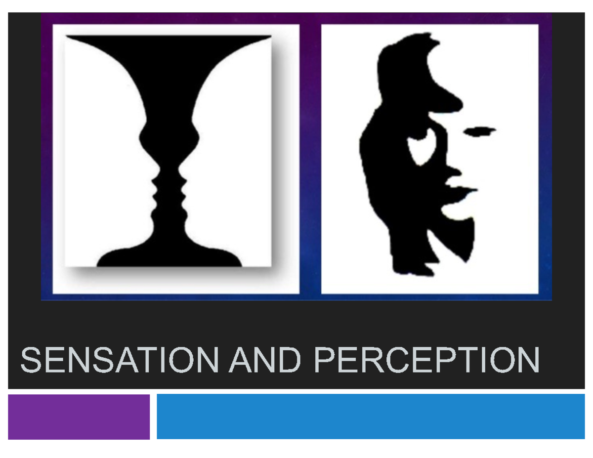 Lecture%208 Sensation Perception slides-3 - SENSATION AND PERCEPTION ...