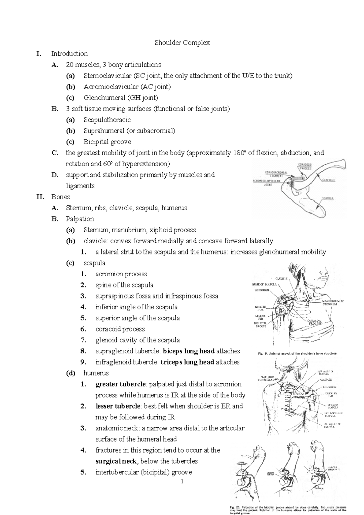 01 - Shoulder Complex - Shoulder Complex I. Introduction A. 20 muscles ...
