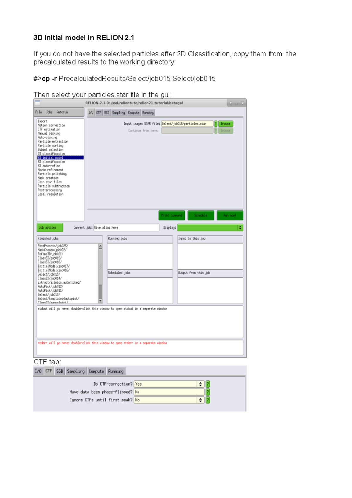 Tutorial how to develop an Initial Model in Relion - CryoEM workshop ...
