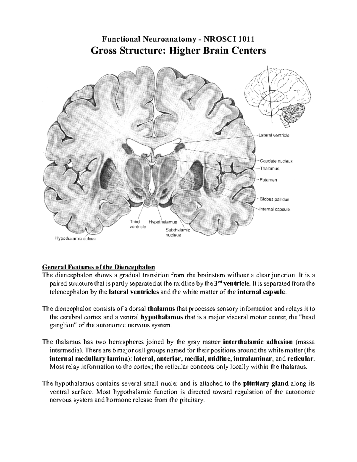 Gross Structure Higher Brain Centers - Functional Neuroanatomy - NROSCI ...