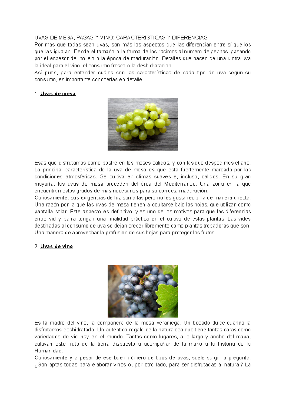 Variedades de uva - UVAS DE MESA, PASAS Y VINO: CARACTERÍSTICAS Y DIFERENCIAS Por más que todas ...