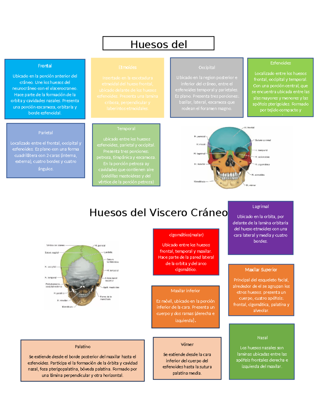 Copia de Copia de Anato Punto 1 - Huesos del Viscero Cráneo Frontal ...