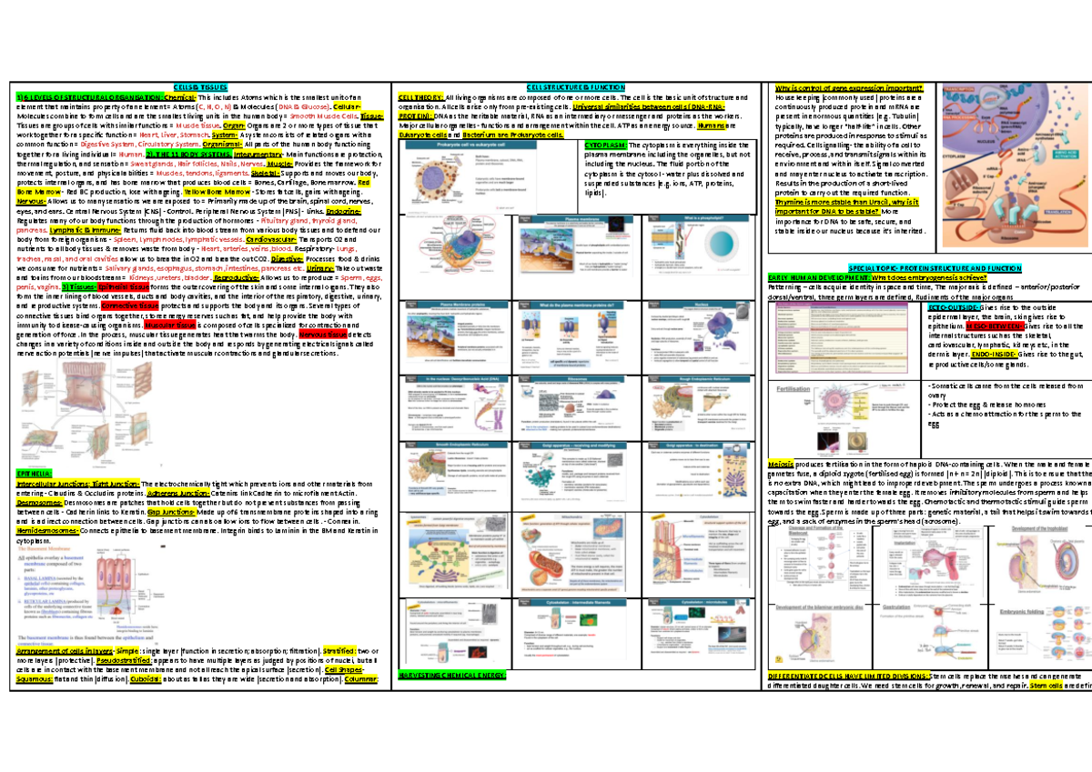 Revision sheet for BIO 107 - CELLS & TISSUES 1) 6 LEVELS OF STRUCTURAL ...