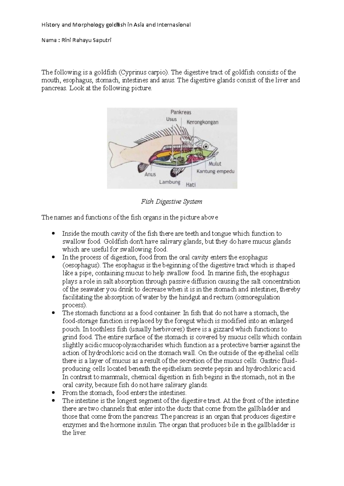 History and Morphology goldfish in Asia and Internasional - The ...