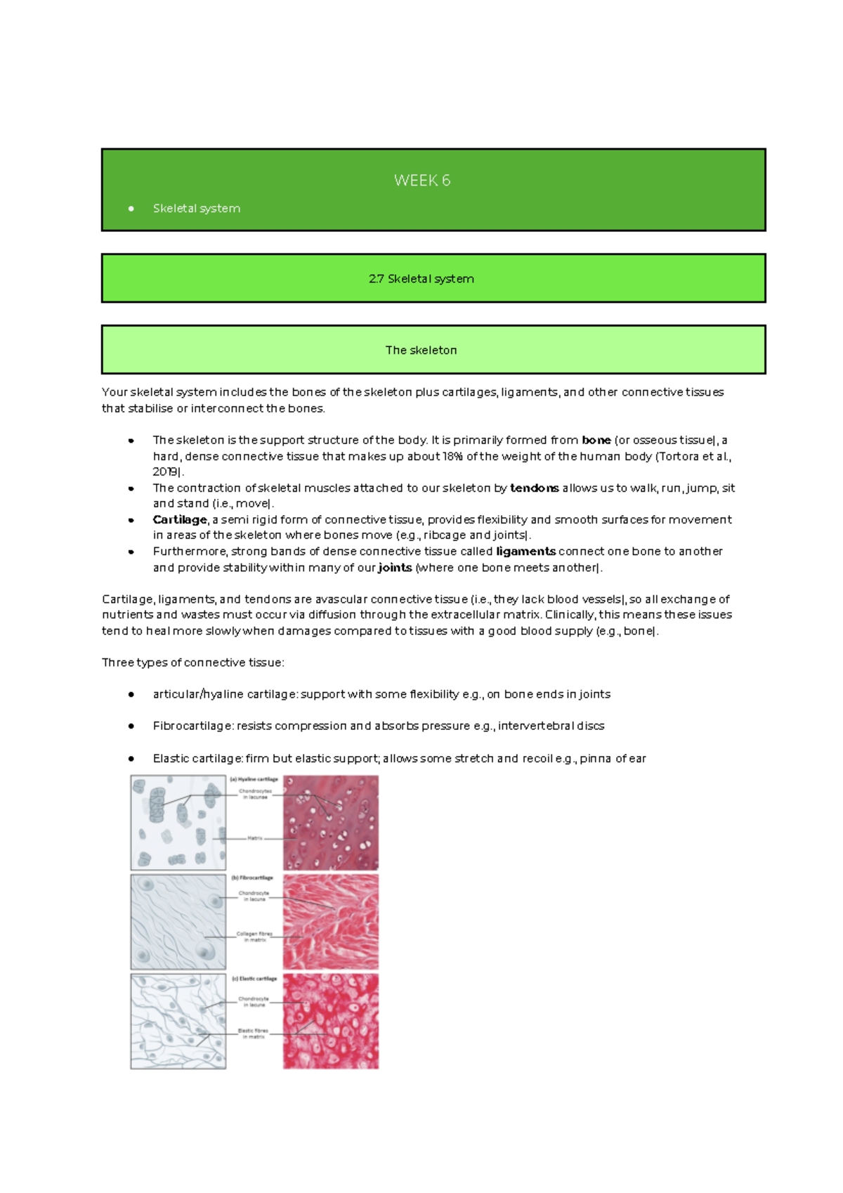 BIOL125 WEEK 6 Notes - WEEK 6 Skeletal system 2 Skeletal system The ...