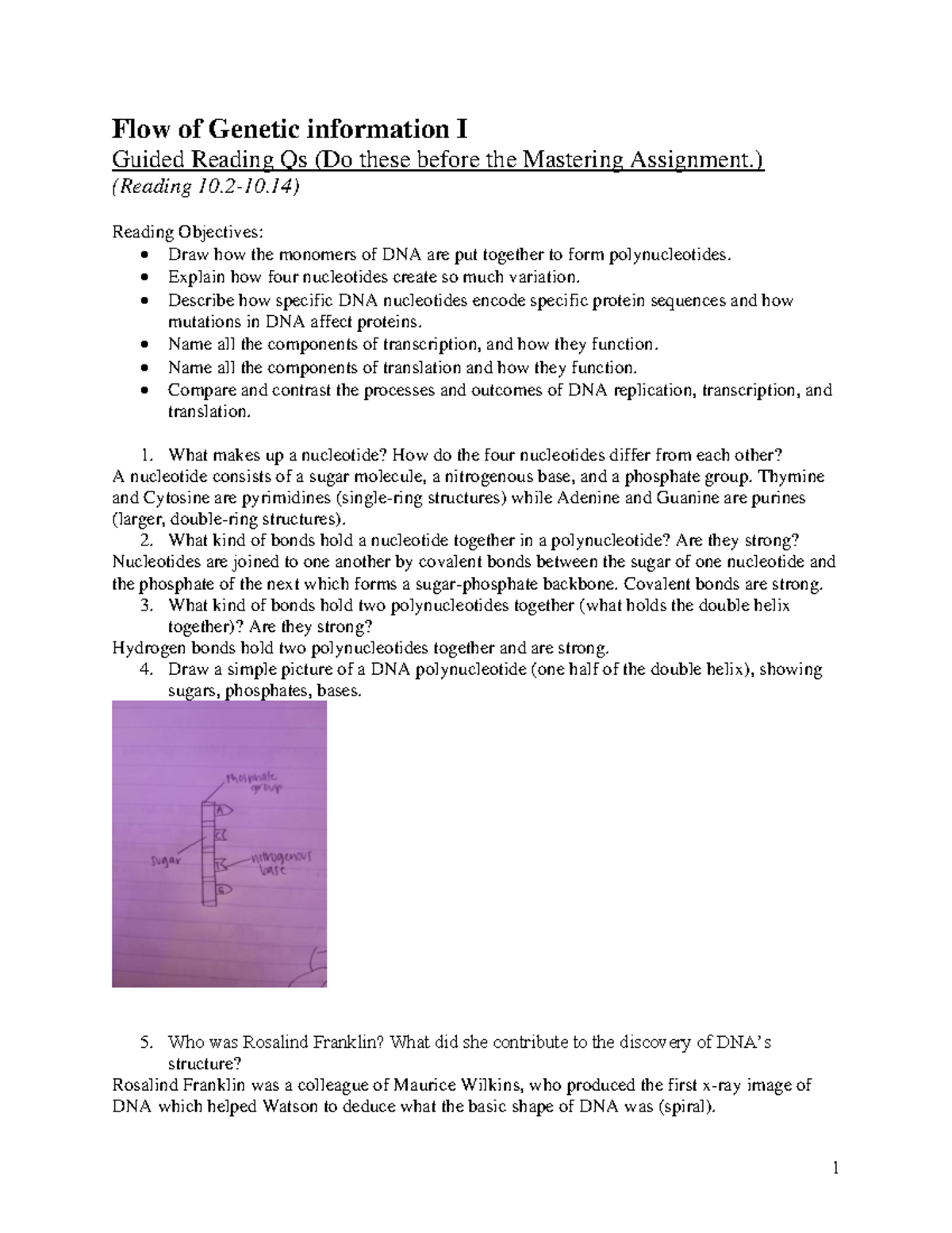 Lesson 13 GRQs Flow of Genetic information Part 1 - Flow of Genetic ...