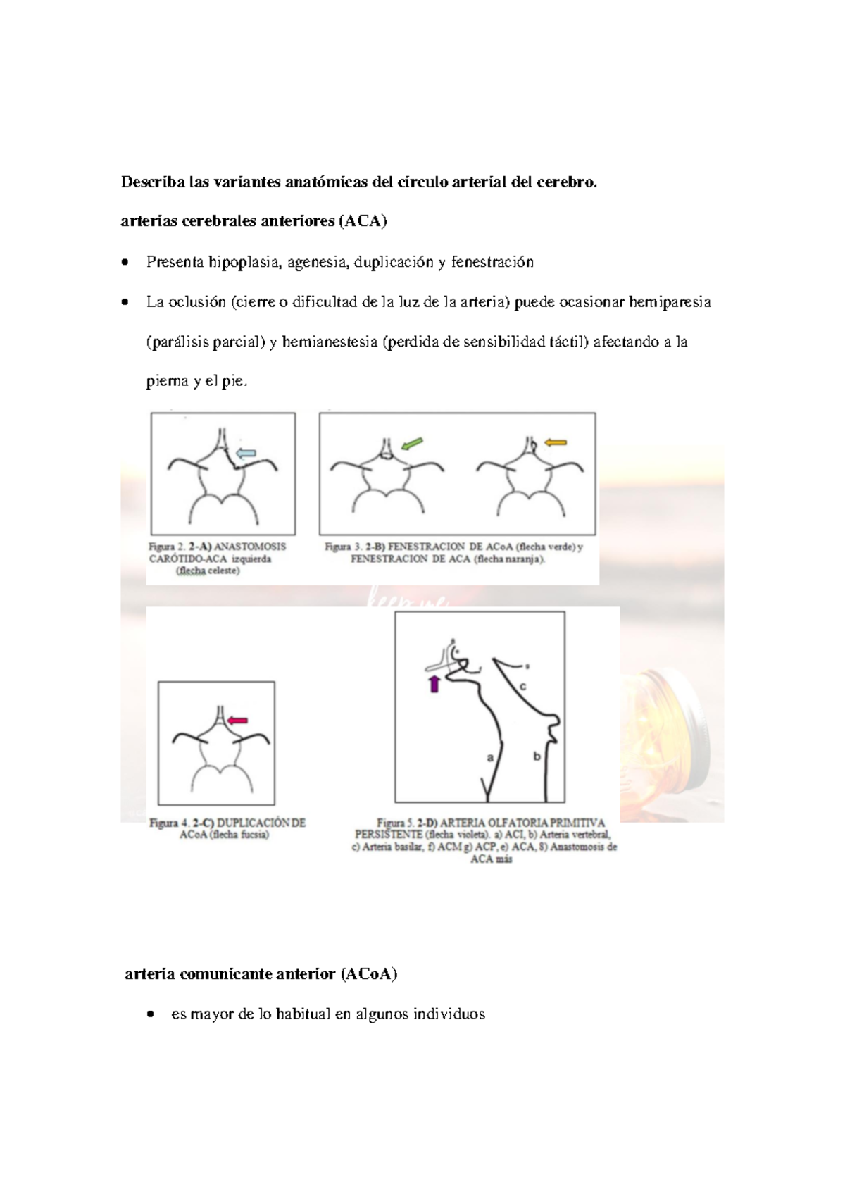 Variantes anatomicas del polígono de willis 1 - Describa las variantes ...