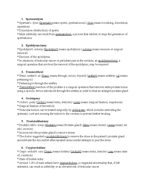 Medical Word Use- Urinary System - Ureterocele Ureter/o -cele (Ureter/o ...