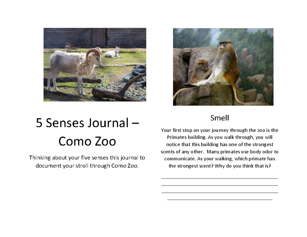 5 Senses Journal Como Zoo - 5 Senses Journal – Como Zoo Thinking about ...
