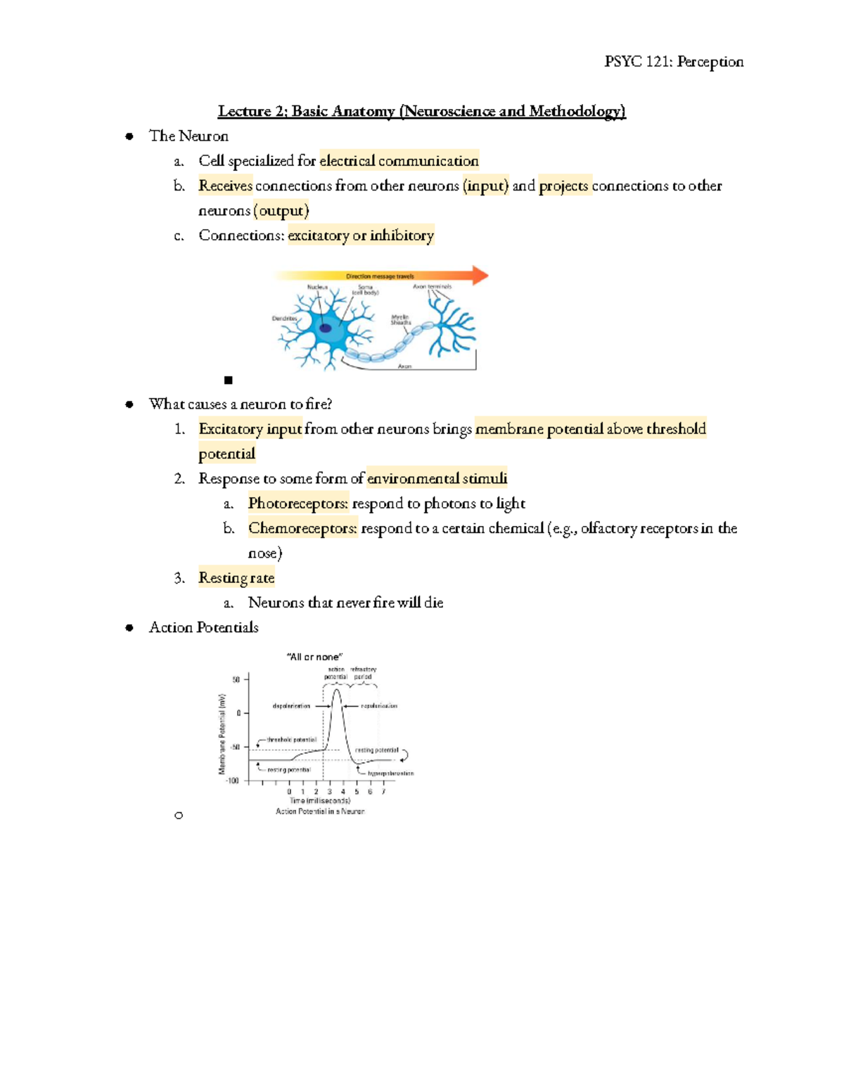 Perception Lecture 2: Basic Anatomy - Lecture 2: Basic Anatomy (Neuroscience and Methodology ...