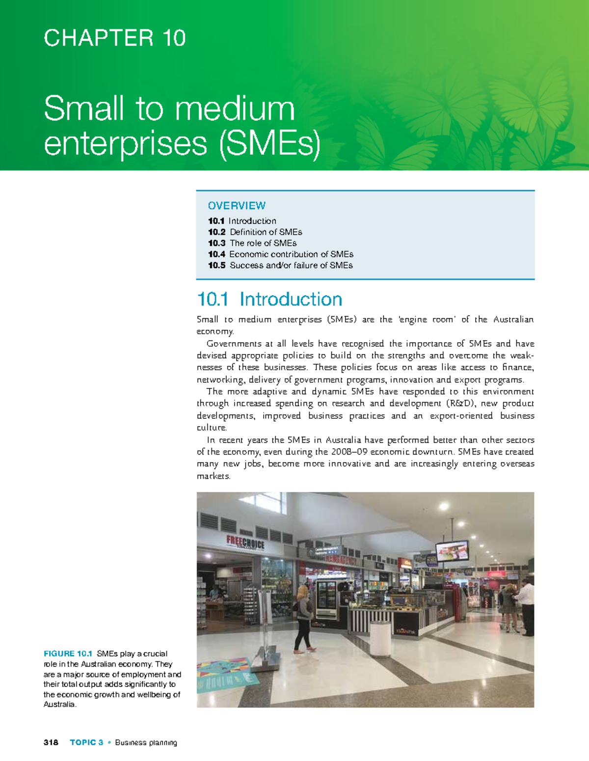 C10Small To Medium Enterprises(Smes) - 318 TOPIC 3 • Business planning ...