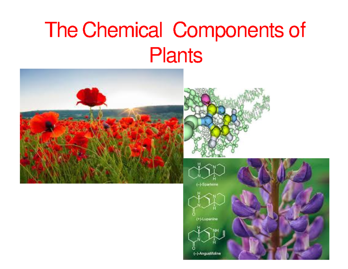 Week2 Topic 1 - The Chemical Components of Plants Plant Secondary ...