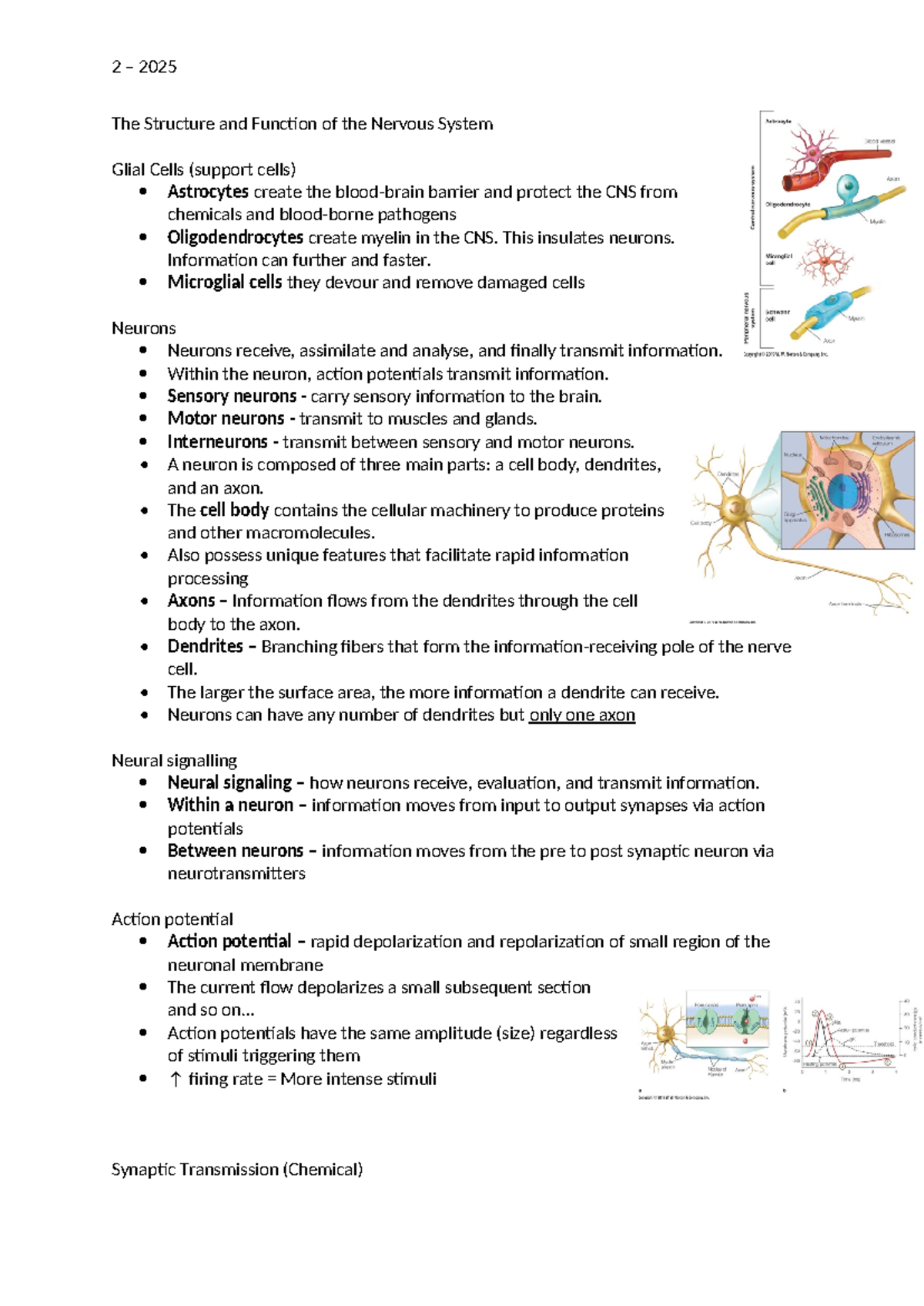 2 - The Structure and Function of the Nervous System - The Structure ...
