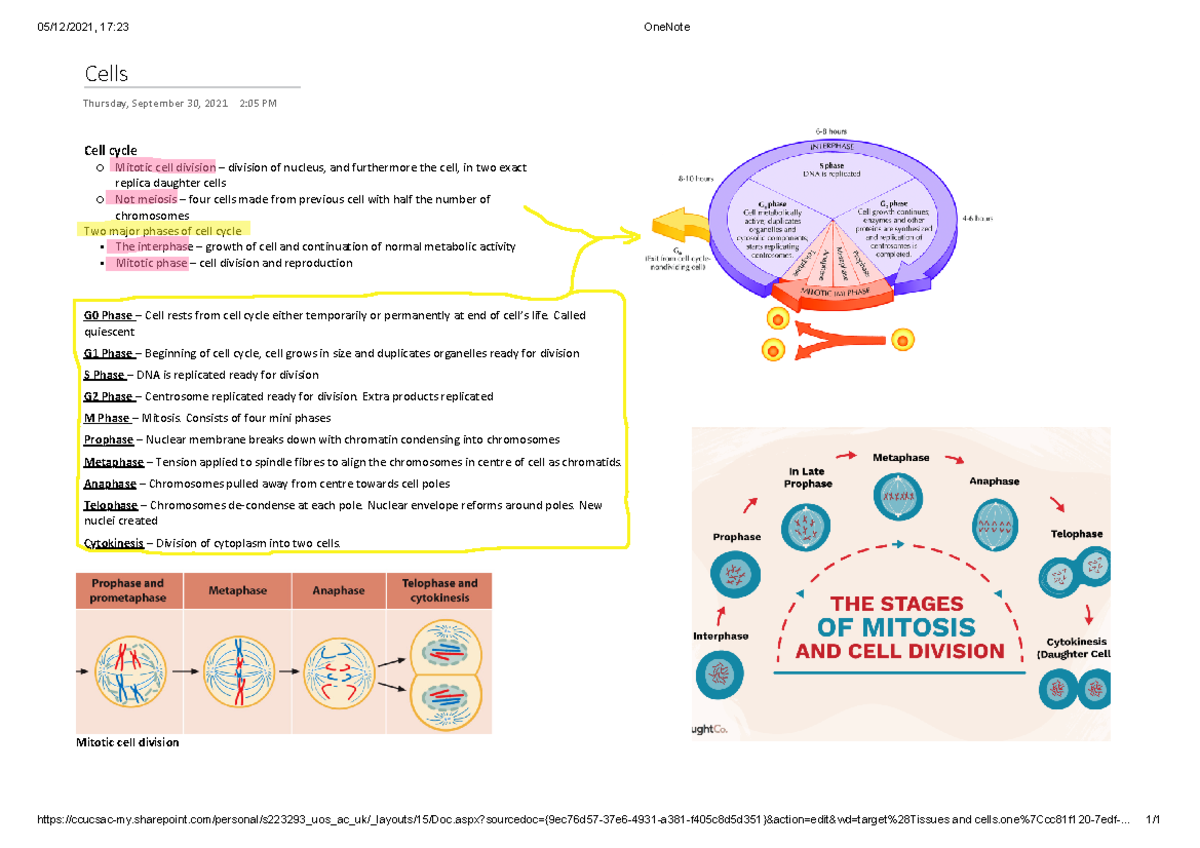 Introduction to Cellular Biology (Part 2/2) - 05/12/2021, 17:23 OneNote ...