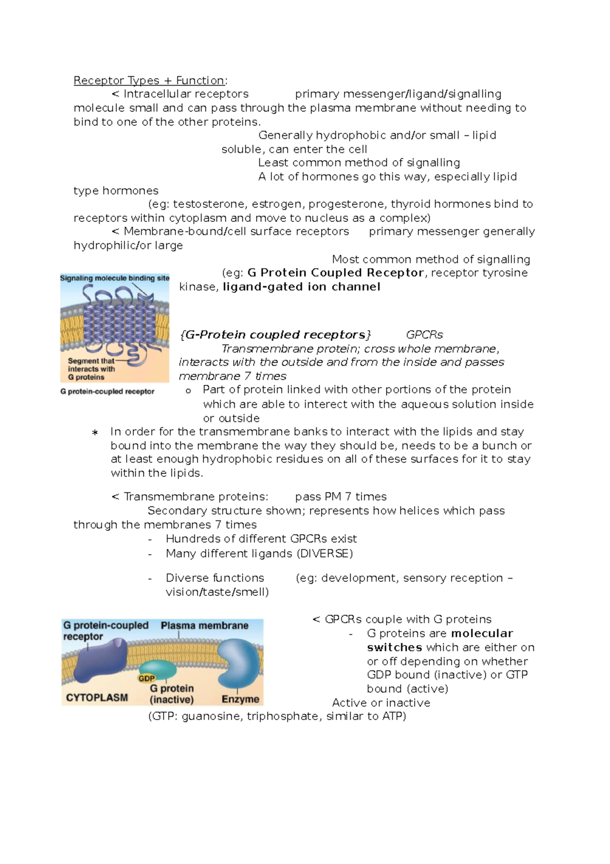 Receptor Types and Function - Receptor Types + Function: