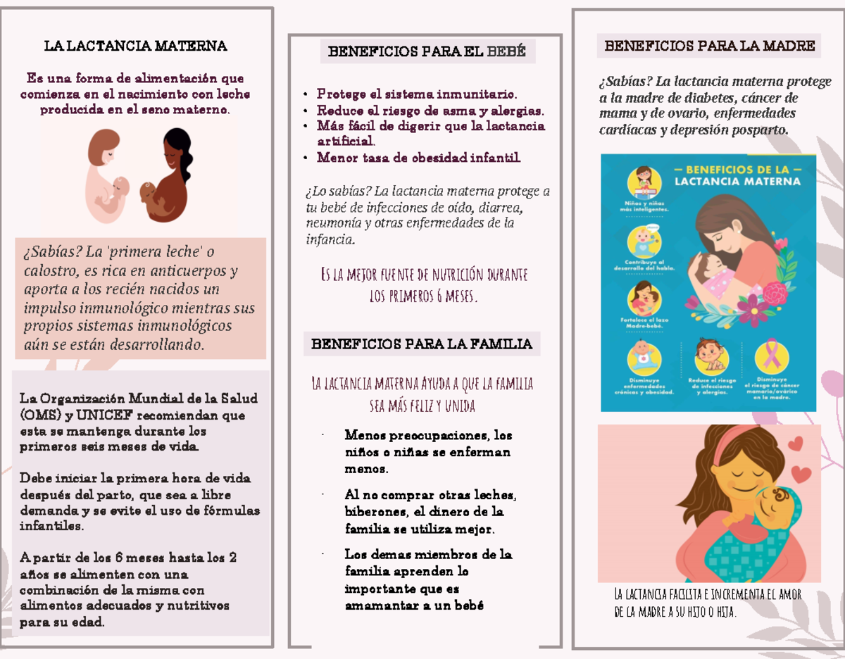 Brochure lactancia materna - BENEFICIOS PARA LA FAMILIA La lactancia ...