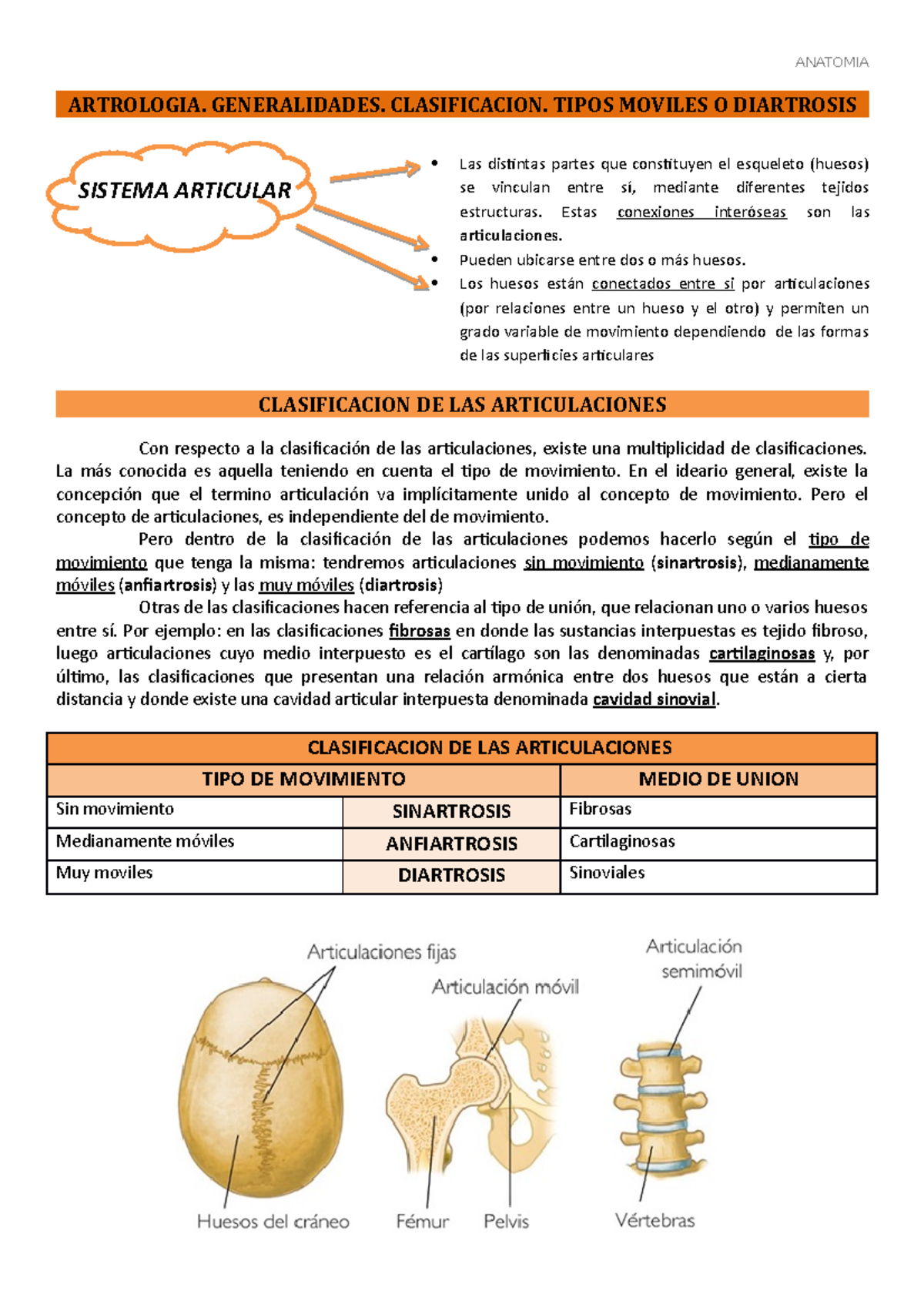 Artrologia. Clasificacion - ARTROLOGIA. GENERALIDADES. CLASIFICACION ...