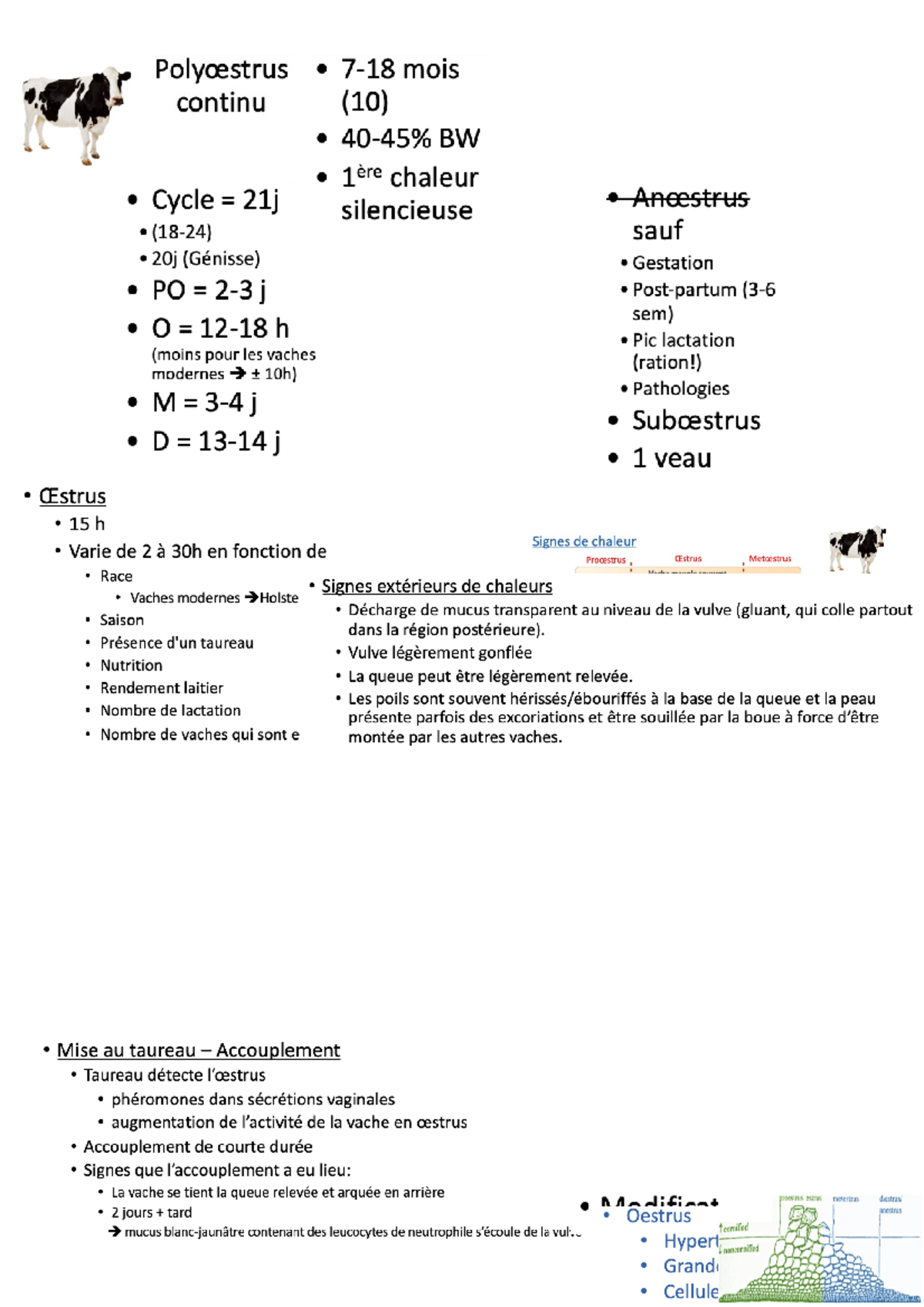 Cycle Vache - Fichier à annoter - Physiologie de la reproduction ...