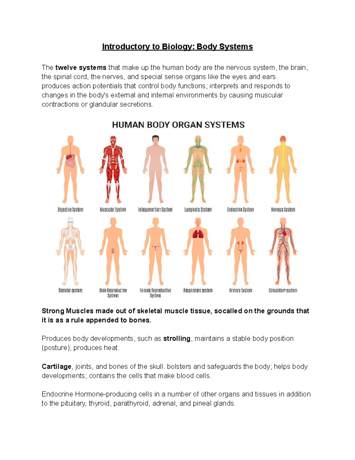 Introductory to Biology Body Systems - produces action potentials that ...