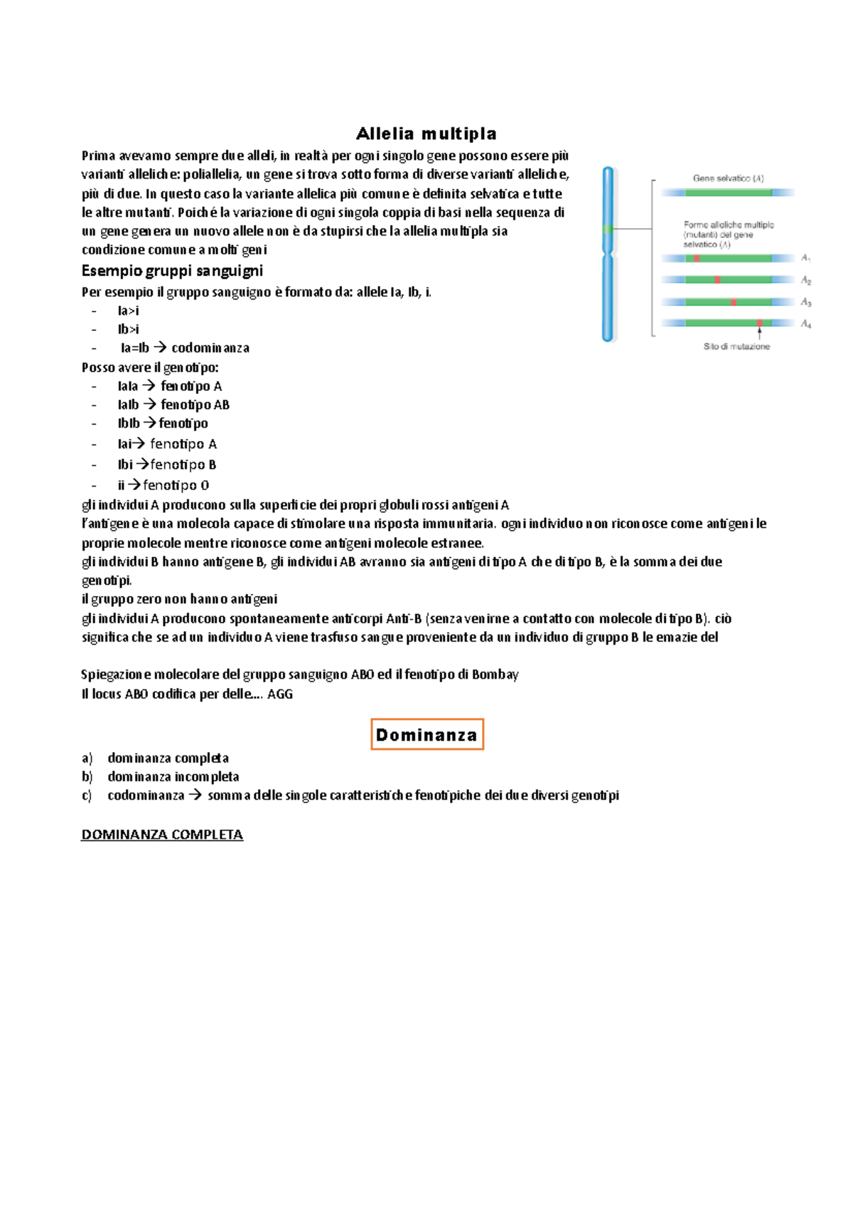 Allelia multipla - spiegazione di cosa succede quando si incrociano ...