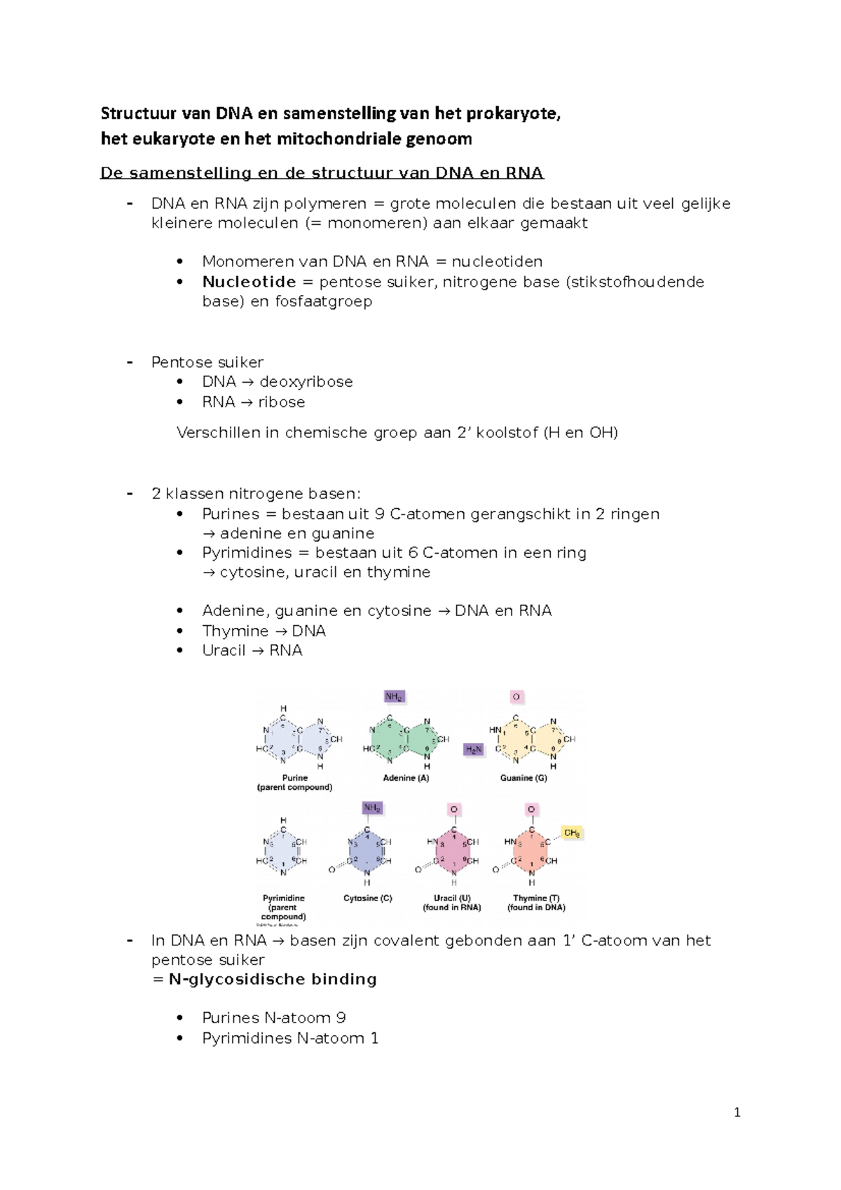 ZSO 2 structuur van DNA en samenstelling genoom - Structuur van DNA en ...