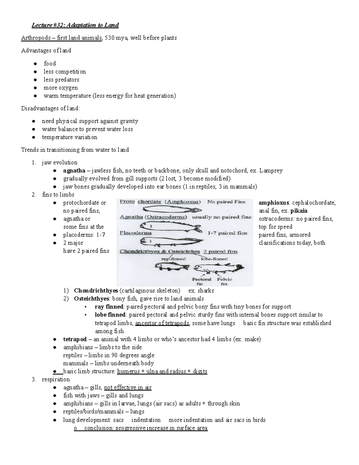 BIO 200 Ch 32 Arthropods - Lecture #32: Adaptation to Land Arthropods ...