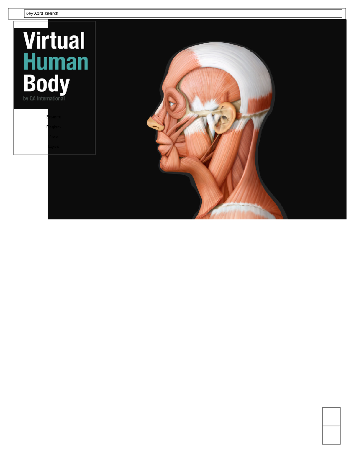 Virtual Human Body - Interactive - ap physics 1 - Keyword search ...