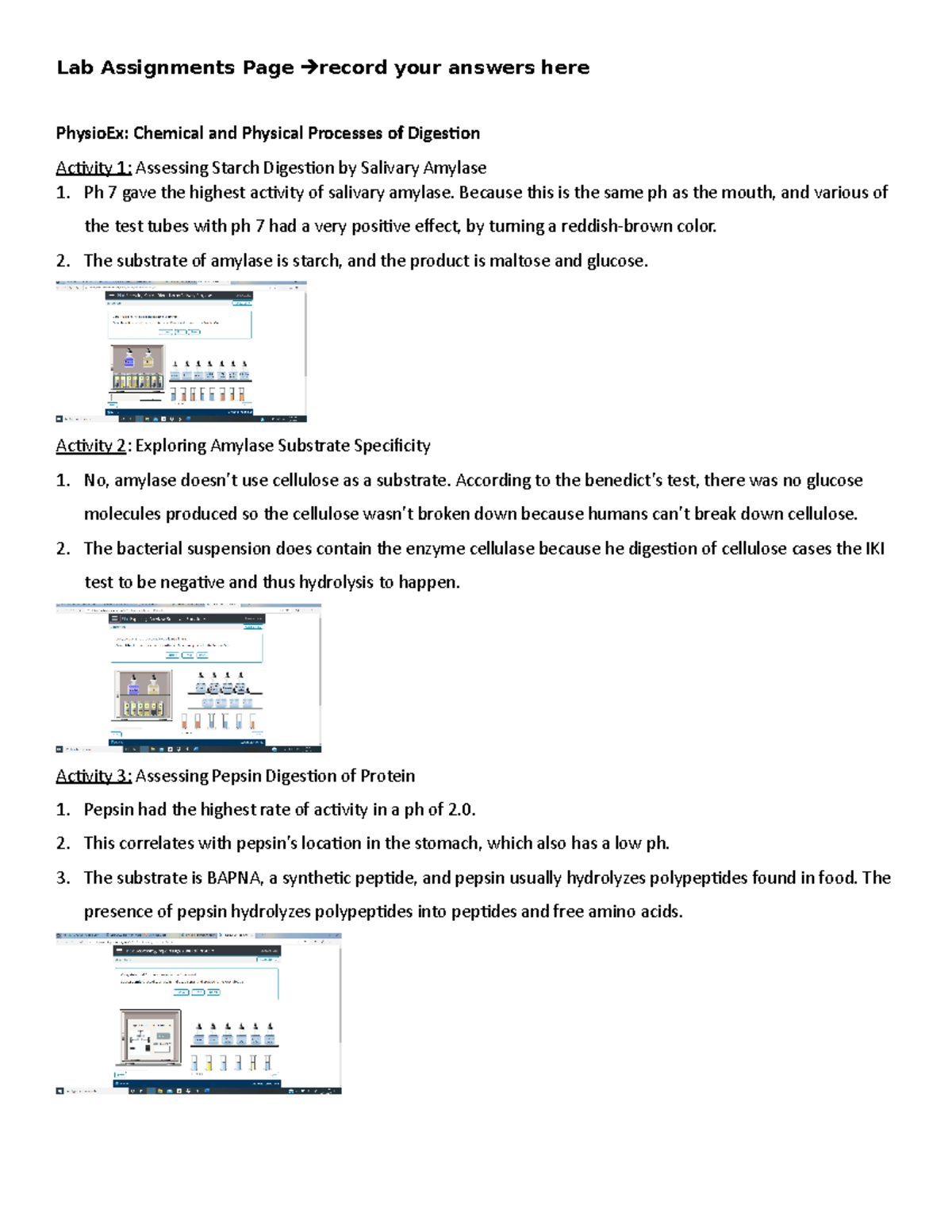 Lab Ch. 23b Digestion Physio Ex EC - Lab Assignments Page record your answers here PhysioEx ...