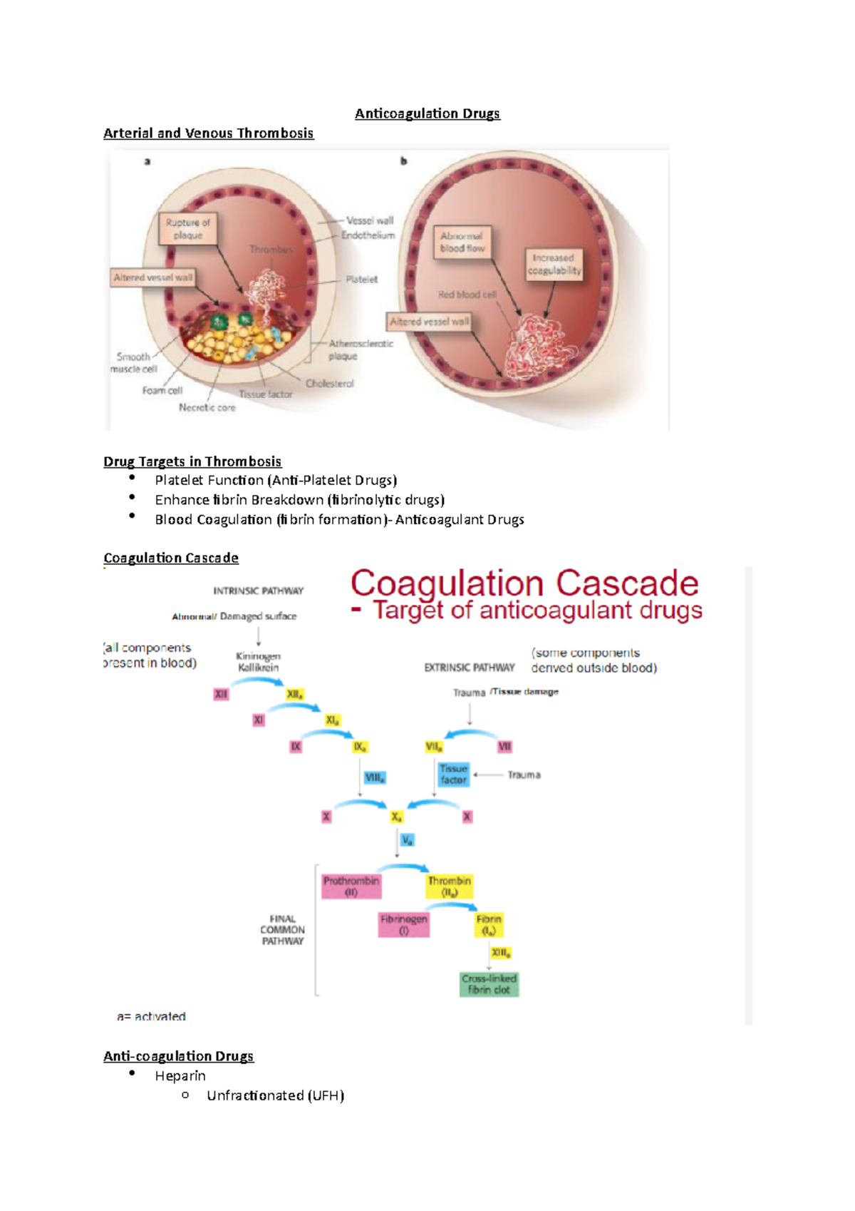 Anticoagulation Drugs - Anticoagulation Drugs Arterial and Venous ...