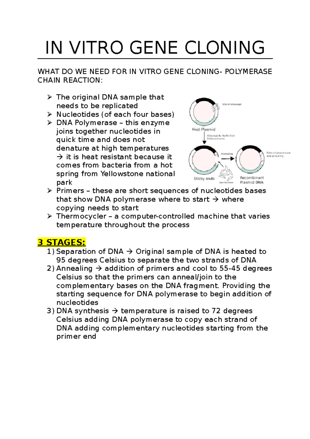 IN Vitro GENE Cloning - IN VITRO GENE CLONING WHAT DO WE NEED FOR IN ...