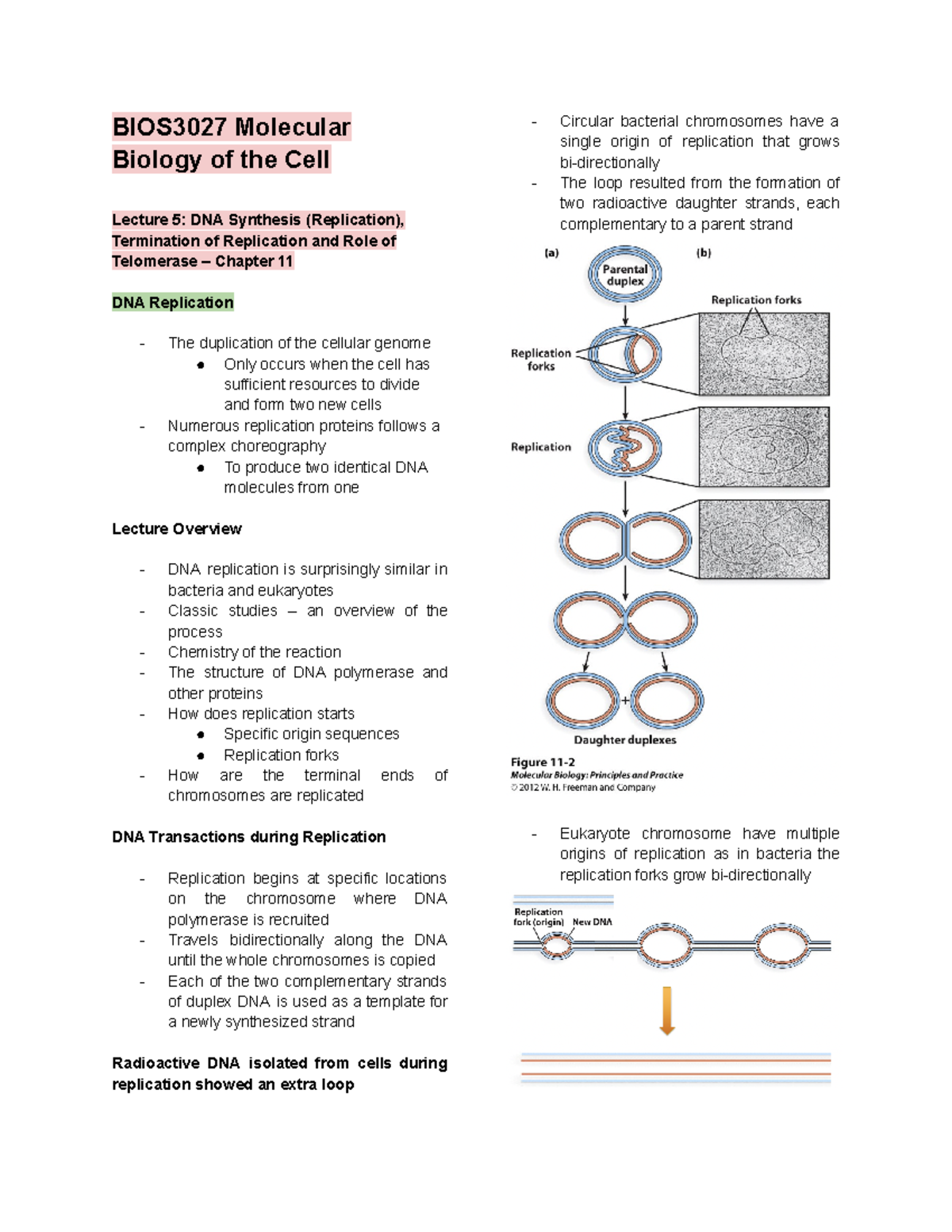 BIOS3027 Molecular Biology of the Cell5 - BIOS3027 Molecular Biology of ...