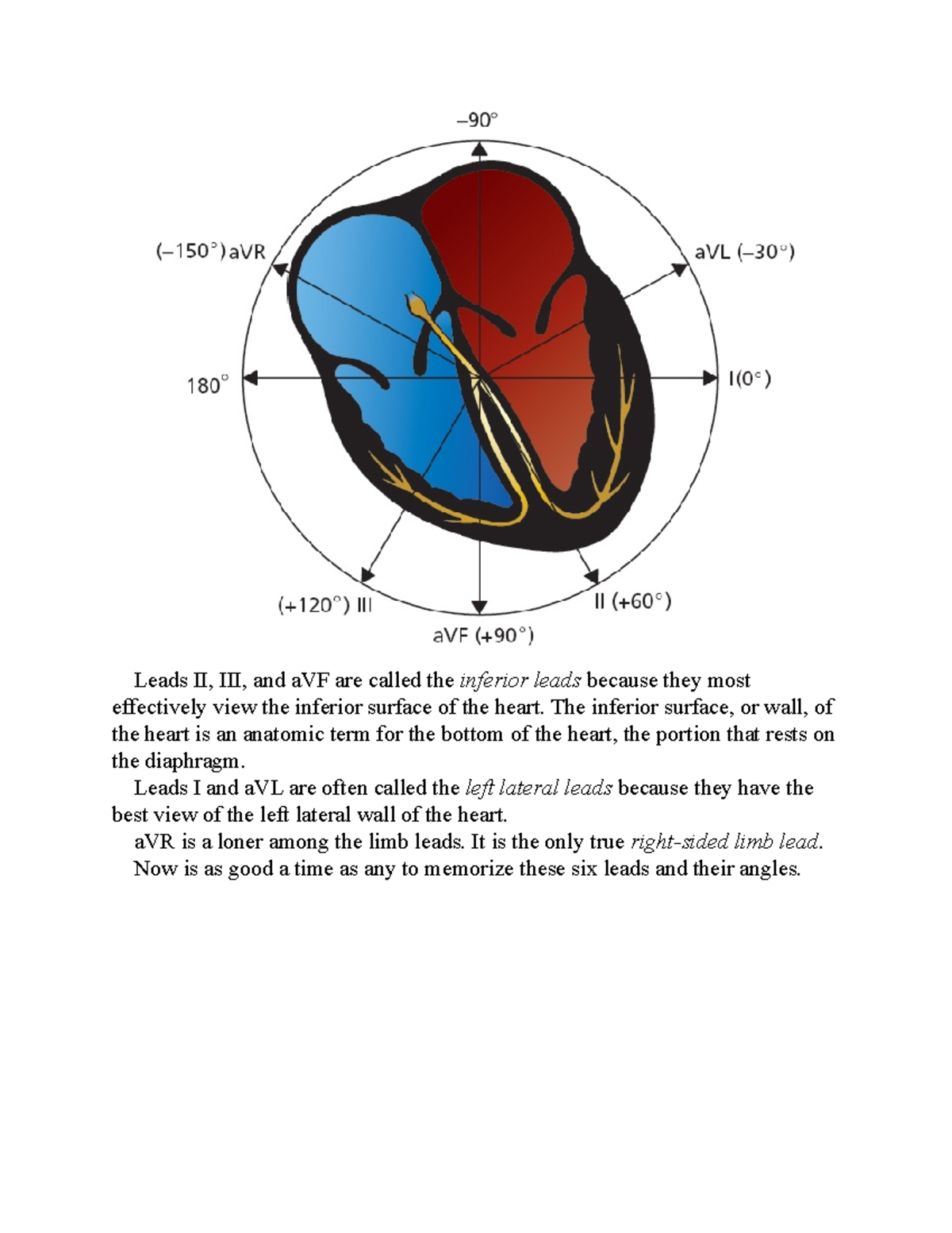 The only EKG-19 - The only EKG - Leads II, III, and aVF are called the ...