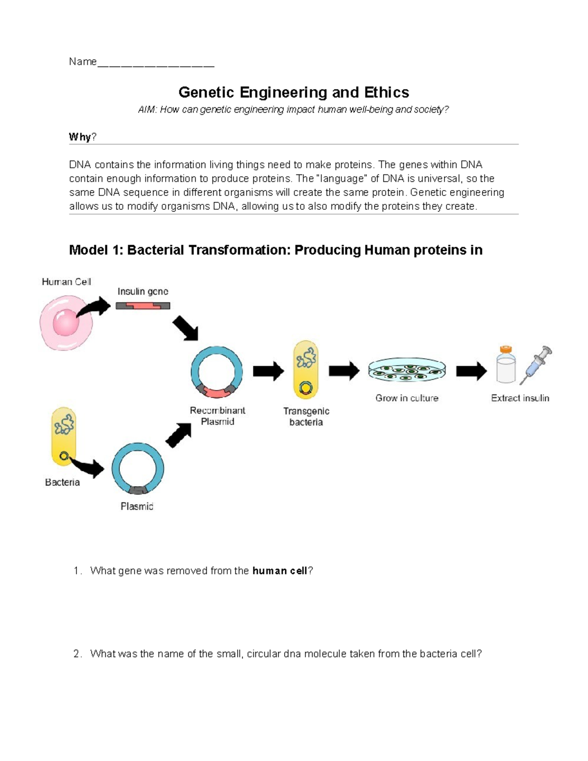 Genetic Engineering Pogilstyleactivity-1 - Name ...