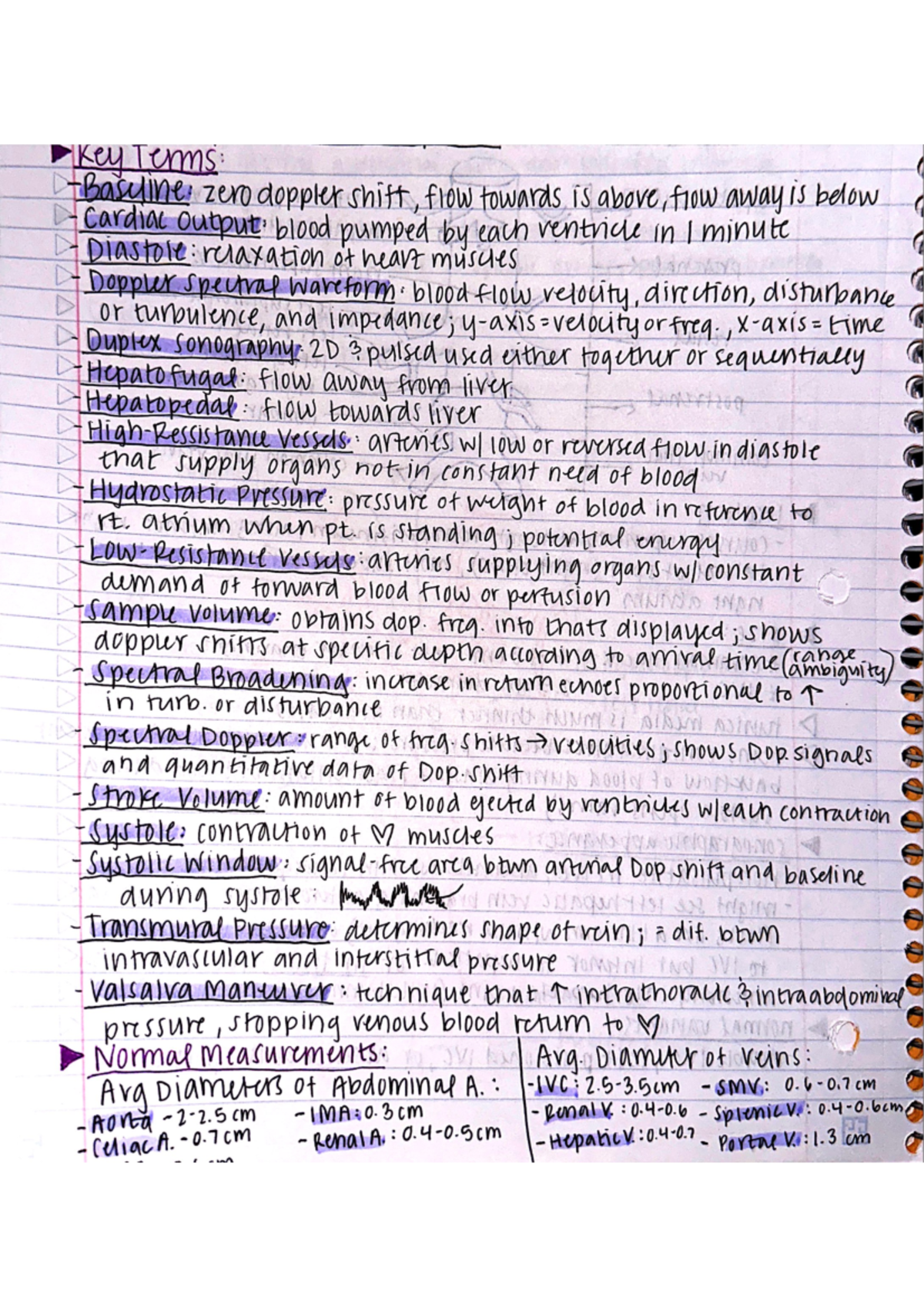 Week 3 Outline - Abdominal anatomy - SON105 - Studocu