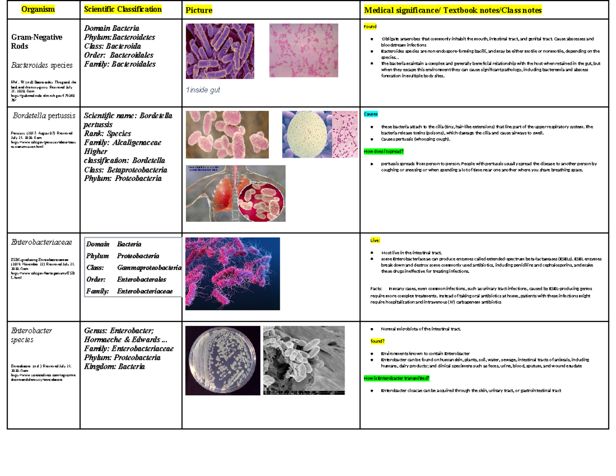 Bacteria List Bio - Organism Scientific Classification Picture Medical ...
