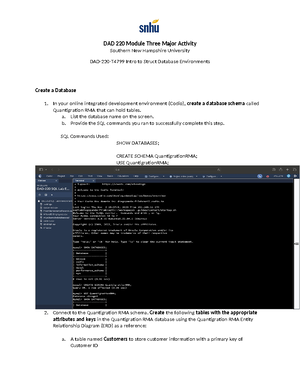 DAD 220 Module 2 - Module Two Lab Southern New Hampshire University DAD ...
