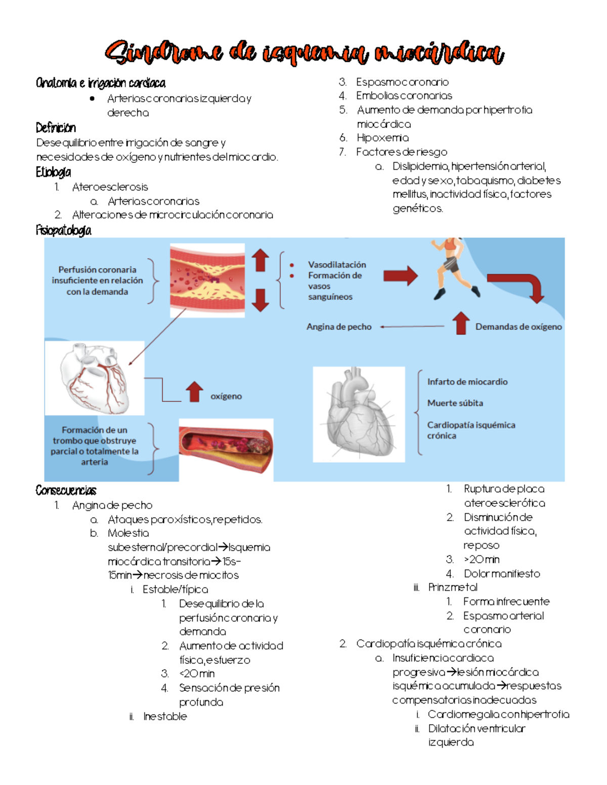 Síndrome de isquemia miocárdica - Anatomía e irrigación cardíaca ...