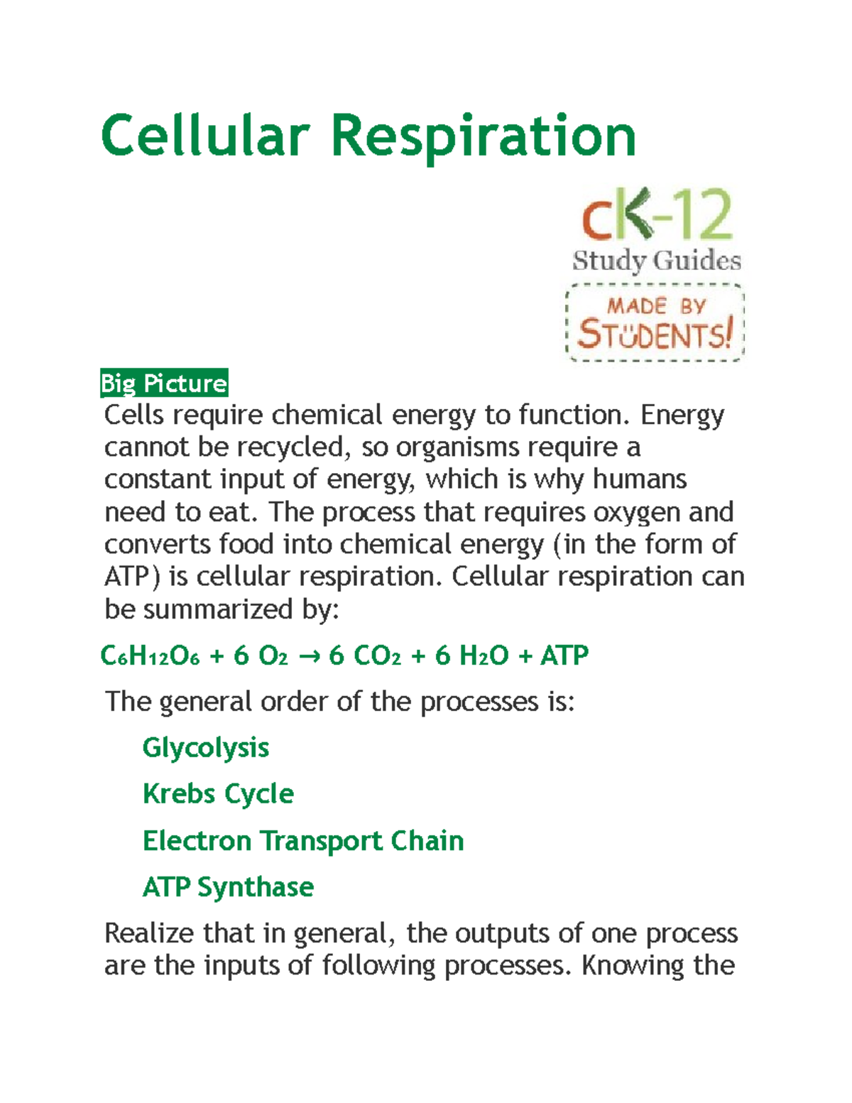 Cellular respiration notes - Cellular Respiration Big Picture Cells ...