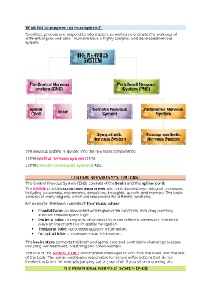 Multi-store Model - psychology msm notes - Describe and evaluate the ...