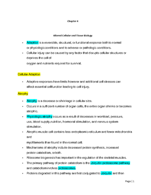 Study Guide For Exam 2 - Module 9: Tissues (Chapter 5) - Name the four ...