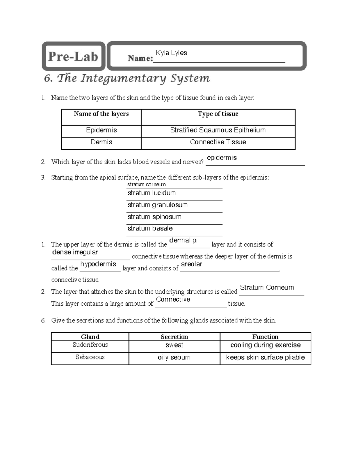 Integumentary System - The name of my teacher was Professor Sharma ...