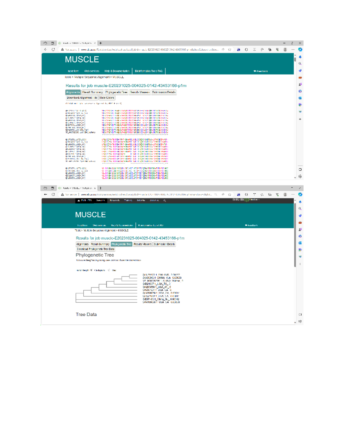 Screenshots Of Blast Biol 212 Studocu