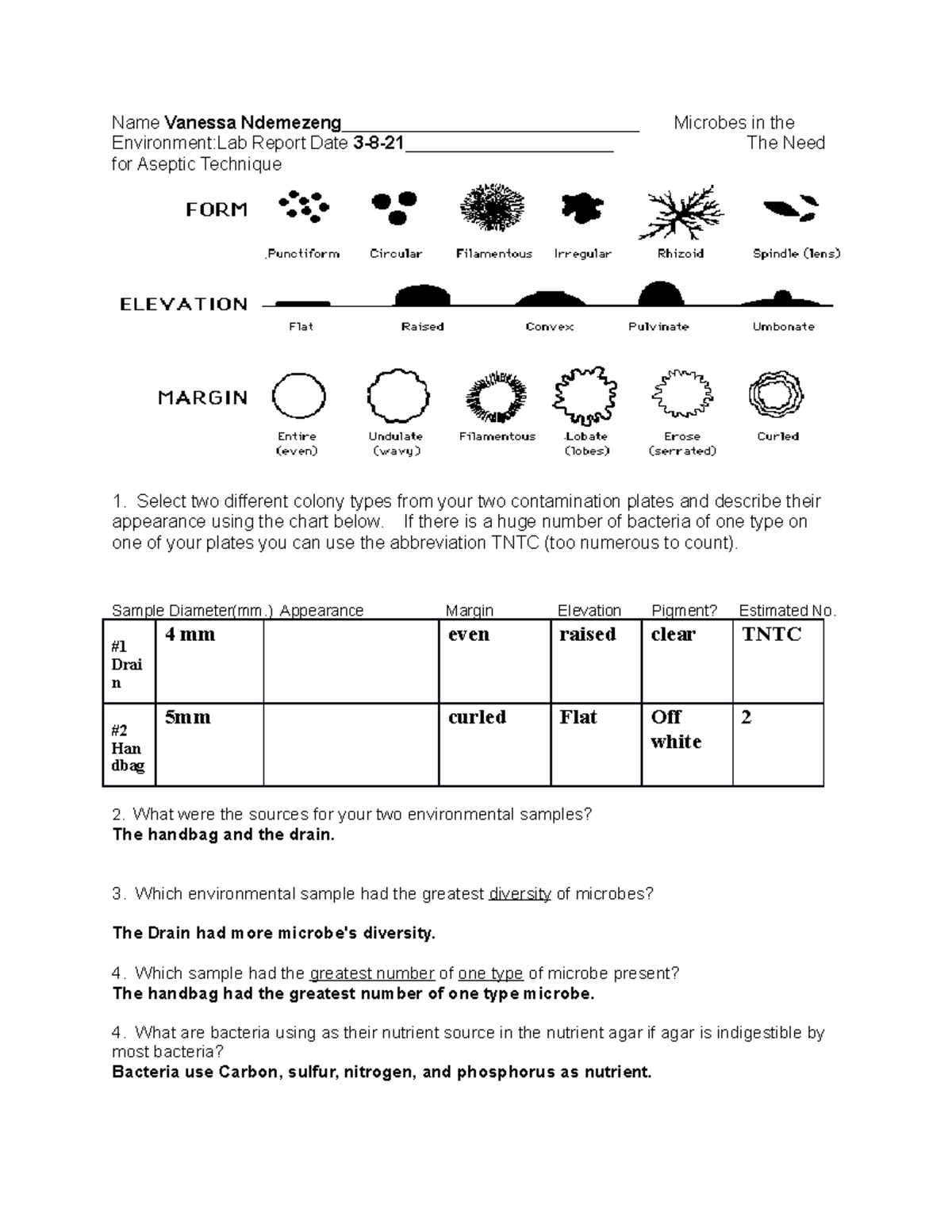Contamination Plate Lab Report (1) l - Name Vanessa Ndemezeng