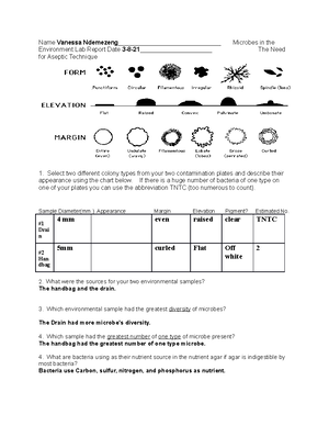 Microbiology – Lecture 1 – Bacterial Signalling - 6 - Microbiology ...