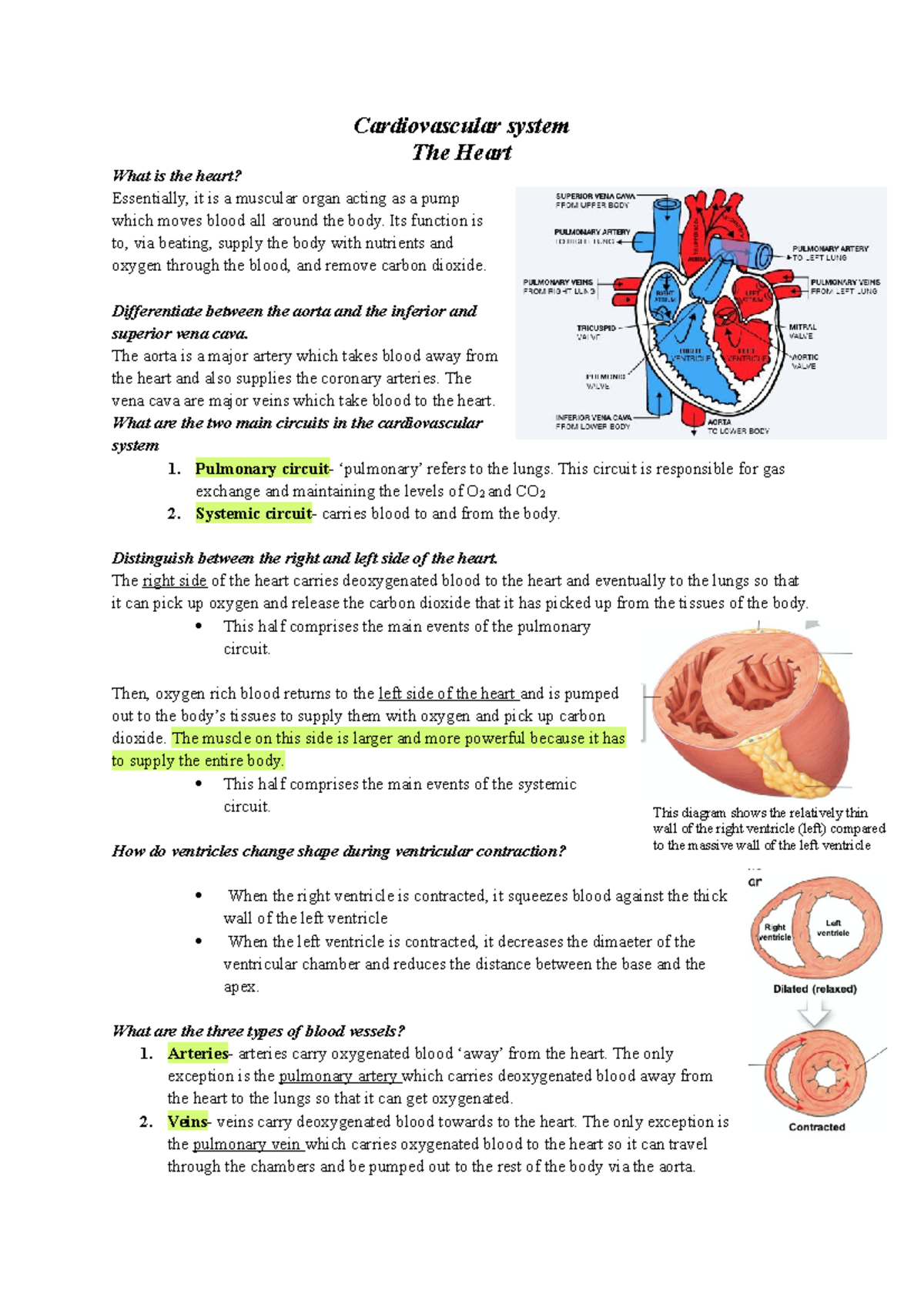 Cardiovascular system- The Heart - Cardiovascular system The Heart What ...