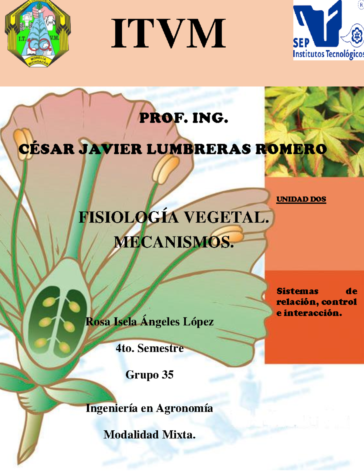Mecanismos de los vegetales - ITVM FISIOLOGÍA VEGETAL. MECANISMOS. PROF ...